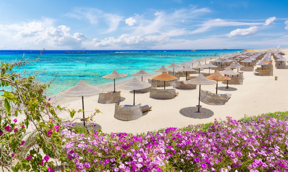 7 reasons to visit Egypt in spring